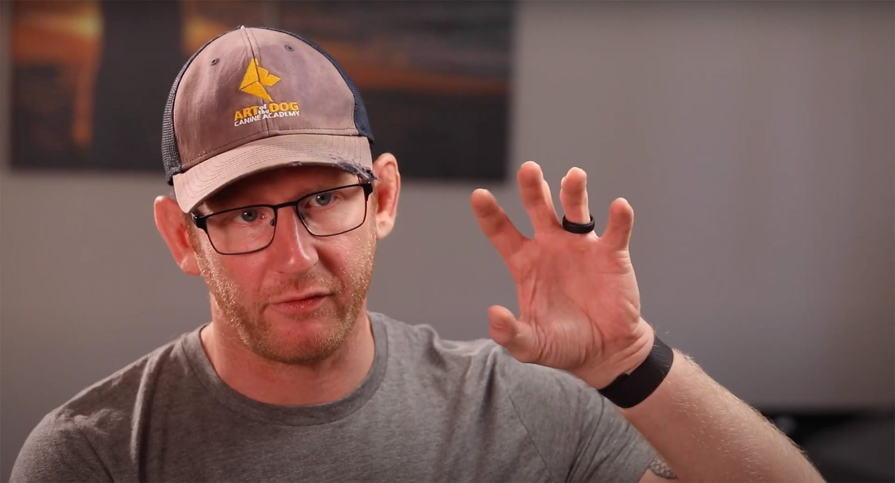 Chapter 6: Dog Aggression